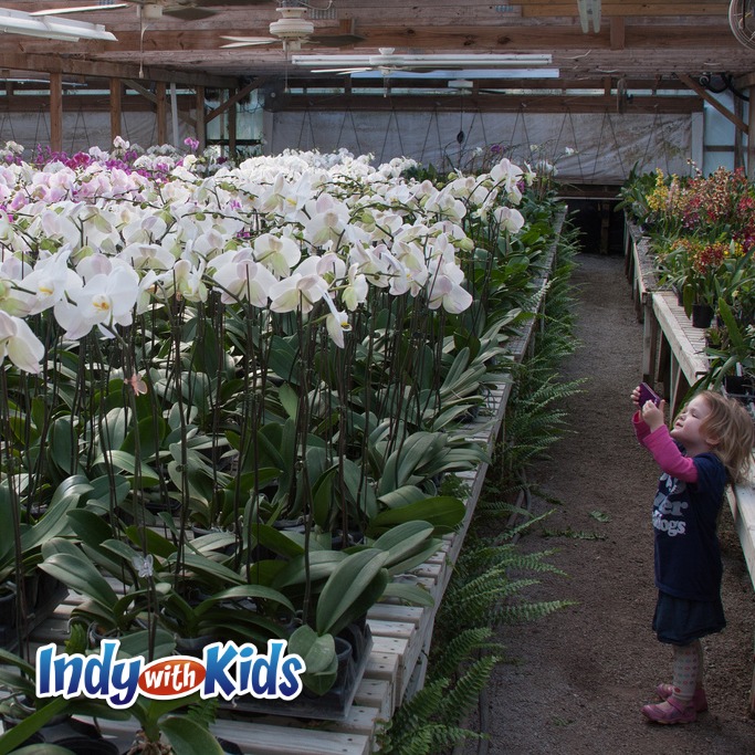 Hilltop Orchid Farm | Cloverdale, Indiana - Indy with Kids