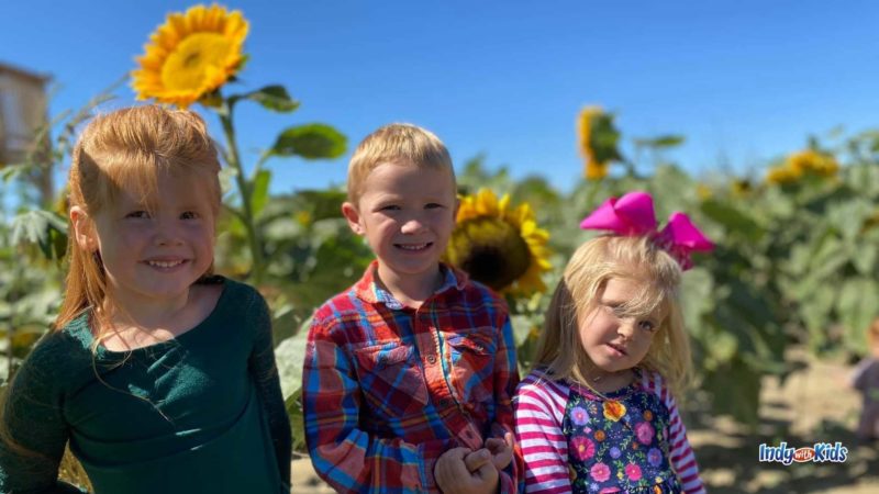 Don't Miss the Cider Donuts at Stuckey Farm Orchard and Cider Mill ...