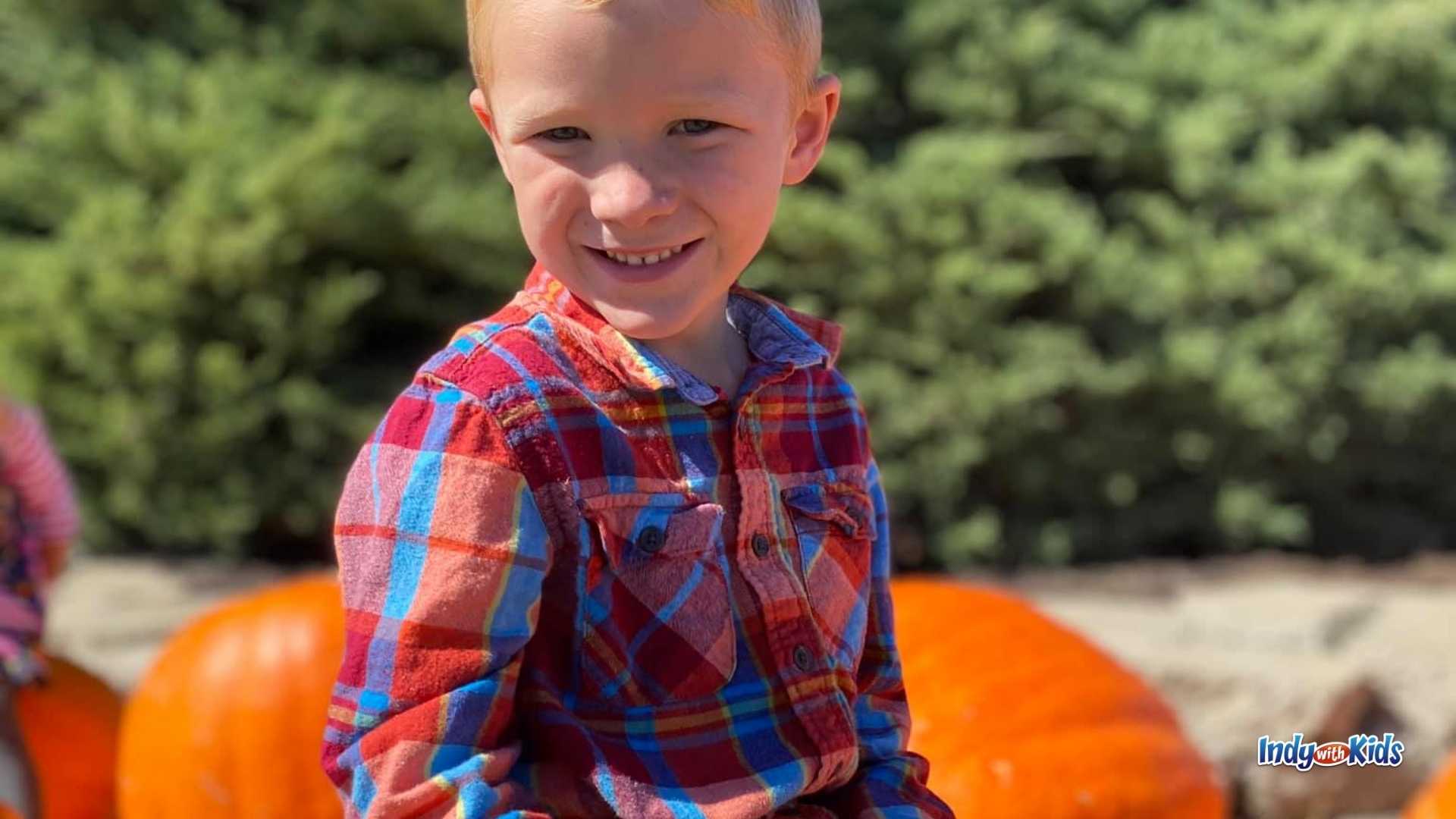 Don't Miss the Cider Donuts at Stuckey Farm Orchard and Cider Mill ...