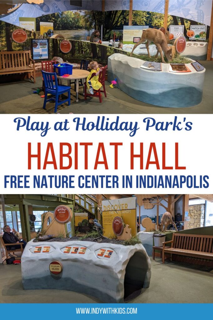Habitat Hall at Free Holliday Park Nature Center