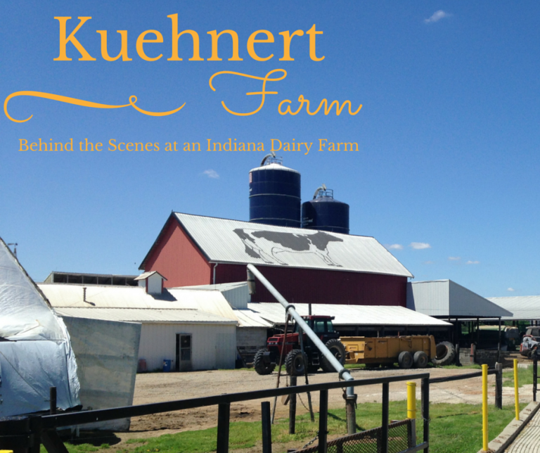 The Story of Milk: Kuehnert Farm (VIDEO) - Indy with Kids