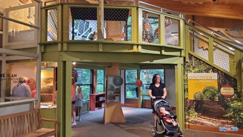 Habitat Hall at Free Holliday Park Nature Center