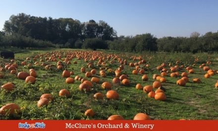 Best Apple Orchards in Indianapolis To Take Your Baby