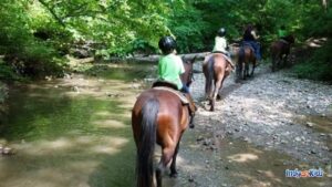 Horseback Riding and Horse Activities for Kids in the Indianapolis Area