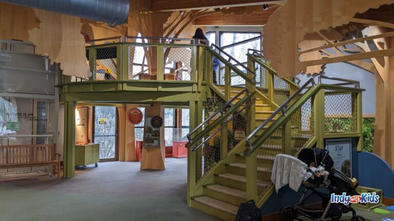 Indy Nature Center Near Me | 10 Fun and Fascinating Nature Centers
