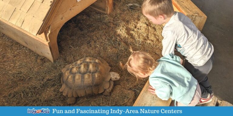 Indy Nature Center Near Me | 10 Fun and Fascinating Nature Centers
