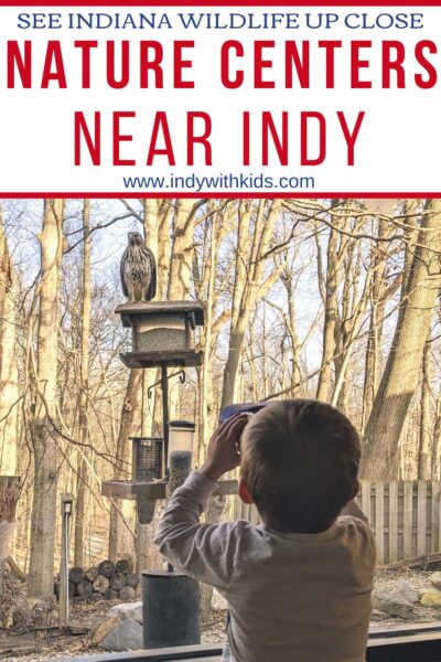 Indy Nature Center Near Me | 10 Fun and Fascinating Nature Centers