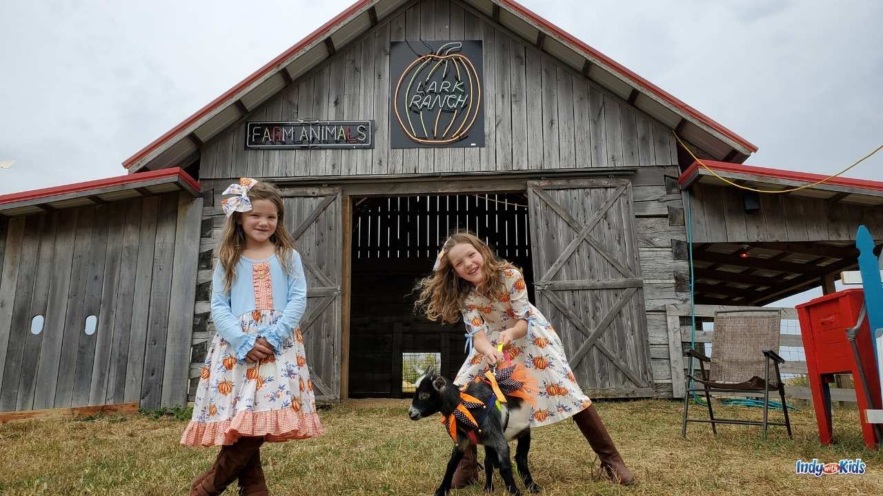 Lark Ranch Greenfield: Pumpkin Patch & Fall Festival Near Indy