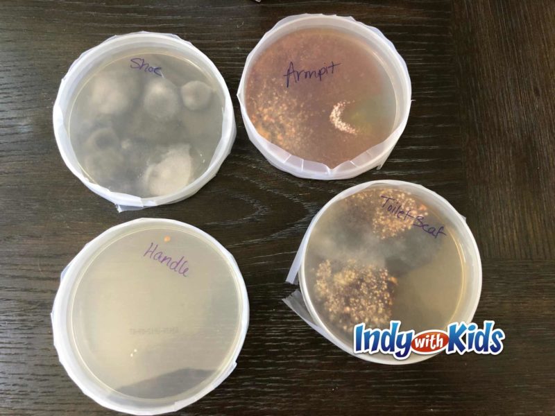 Five Easy At-Home Science Experiments Your Kids will Love