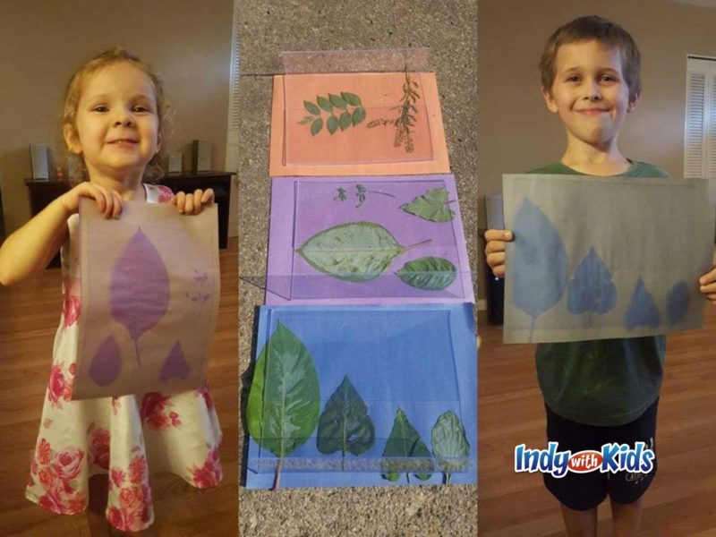 15 Outdoor STEM Activities | Science Fun at Home