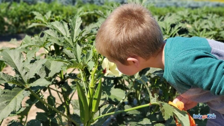 Fishers Agripark | Real Farm Park with Free Produce