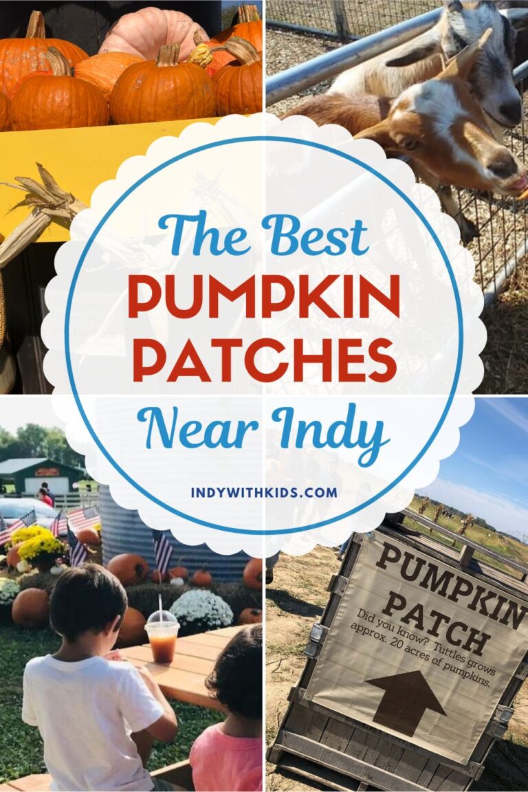 Indiana Pumpkin Patches Near Indianapolis: Best Fall Family Farms ...