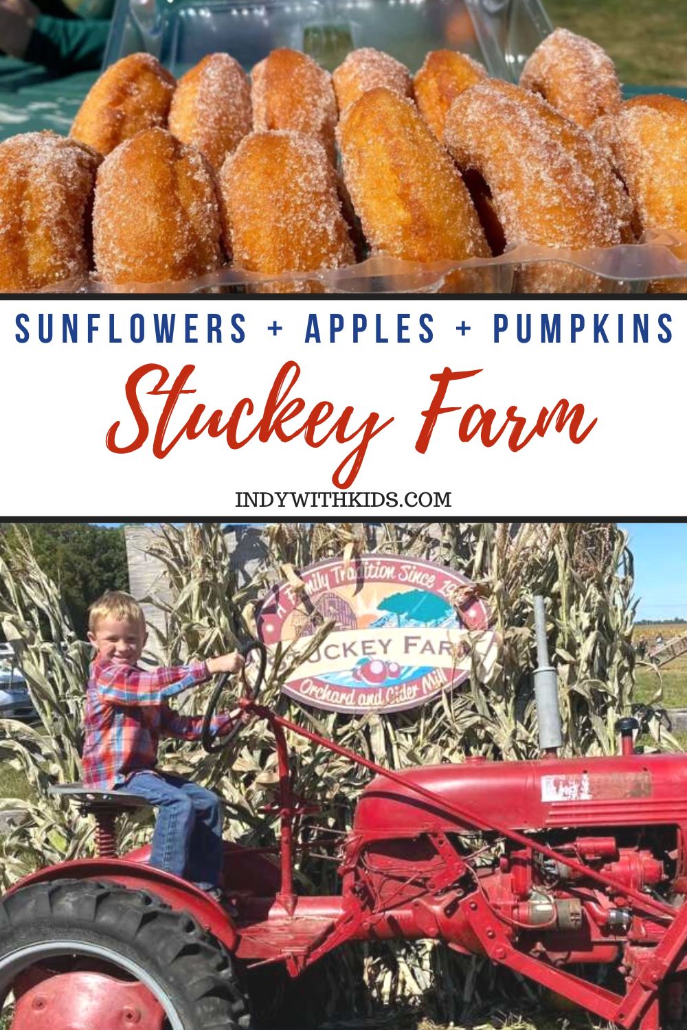 Stuckey Farm Orchard and Cider Mill - Indy with Kids