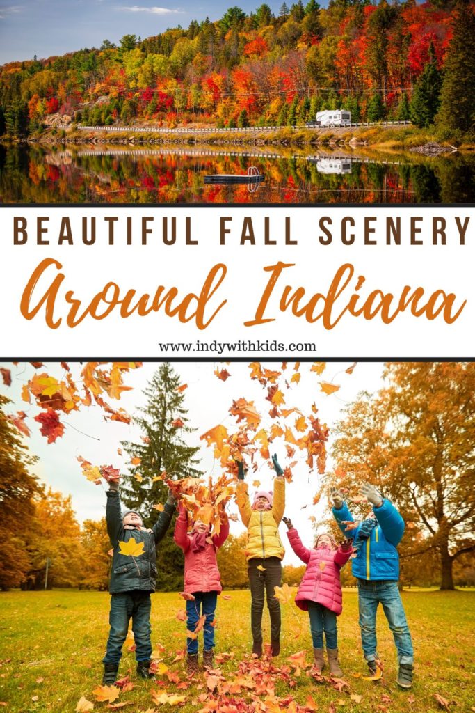 Fall in Indiana | Heavenly Walks and Drives to See the Changing Leaves