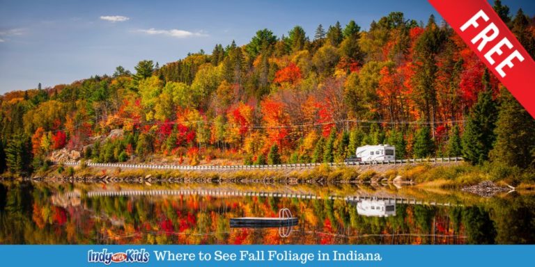 Fall in Indiana | Heavenly Walks and Drives to See the Changing Leaves