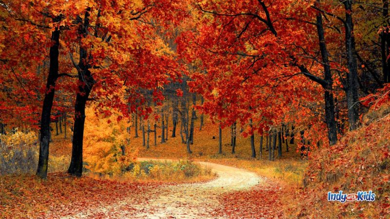 Fall in Indiana | Heavenly Walks and Drives to See the Changing Leaves