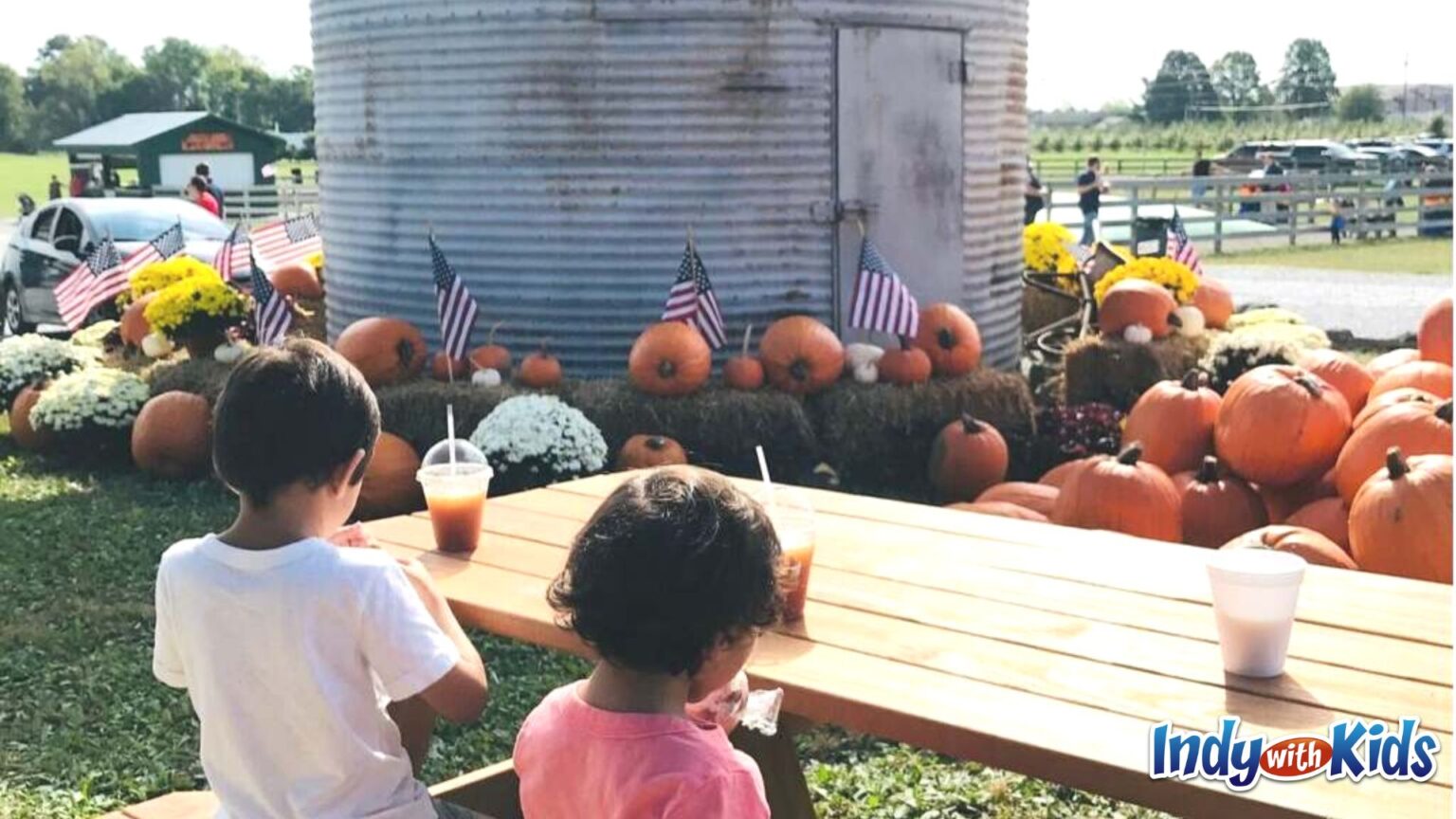 Indiana Pumpkin Patches Near Indianapolis: Best Fall Family Farms ...