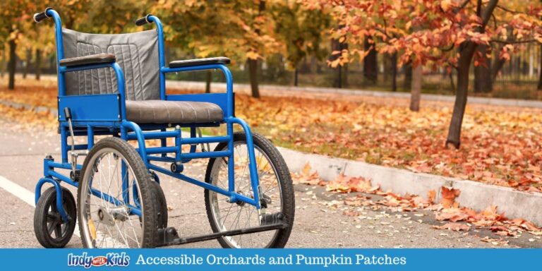 Accessible Pumpkin Patch Near Me | The 5 Best Indy-Area Wheelchair ...