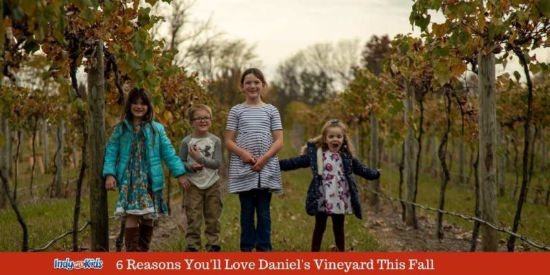 6 Reasons Families Love Daniel's Vineyard and Winery This Fall