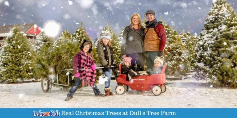Dull's Tree Farm | Get Real and Cut Down Your Own Christmas Tree