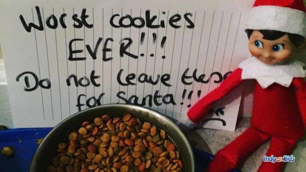 100+ Ideas for your Elf on the Shelf