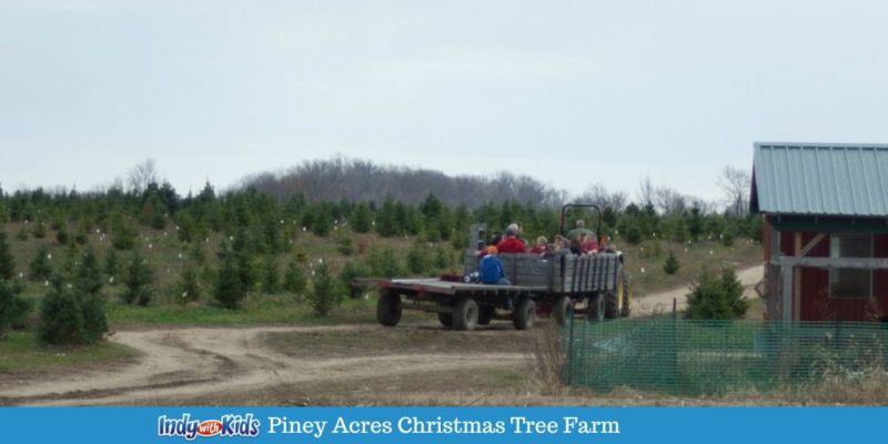 Piney Acres Tree Farm is a Beautiful Christmas Family Adventure