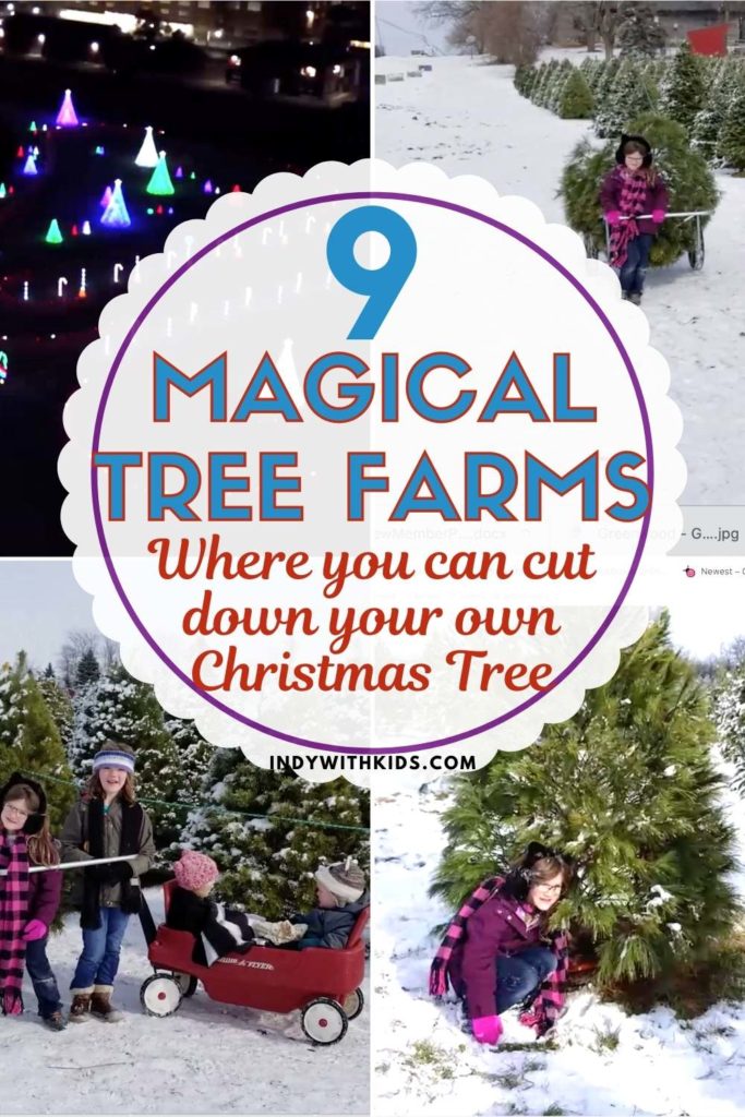 Best Indiana Christmas Tree Farms Near Indianapolis