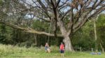 Wondertree Farm | Farm & Petting Zoo in Zionsville - Indy with Kids