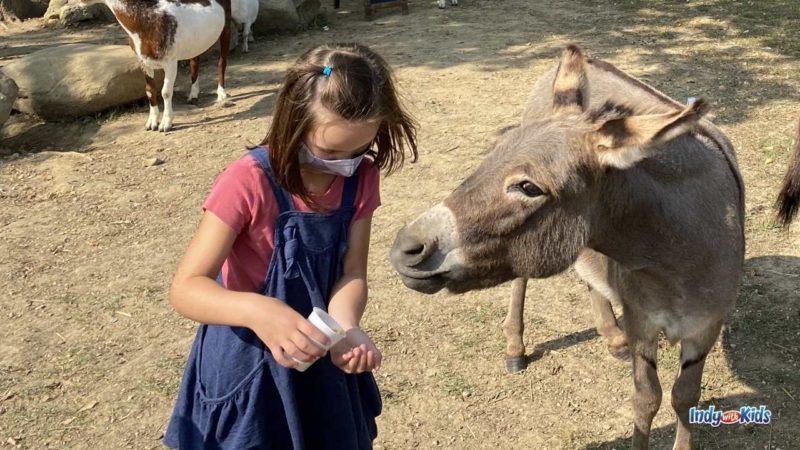 Wondertree Farm | Farm & Petting Zoo in Zionsville - Indy with Kids
