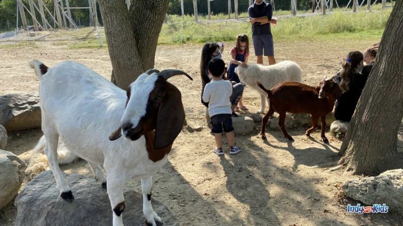 Wondertree Farm | Farm & Petting Zoo in Zionsville - Indy with Kids