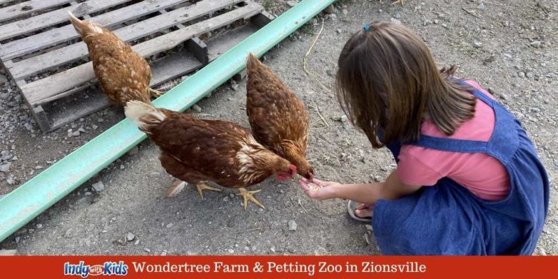 Wondertree Farm | Farm & Petting Zoo in Zionsville - Indy with Kids