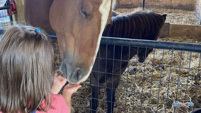 Wondertree Farm | Farm & Petting Zoo in Zionsville - Indy with Kids