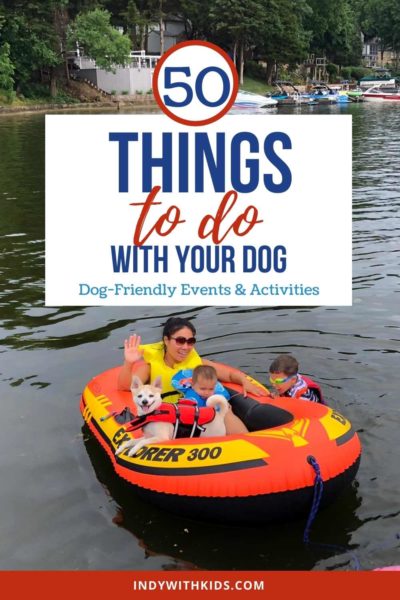 Discover 50 Dog Friendly Activities Near Me