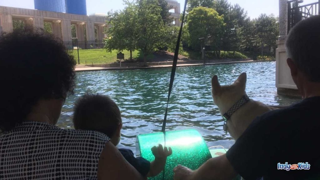 Discover 50 Dog Friendly Activities Near Me