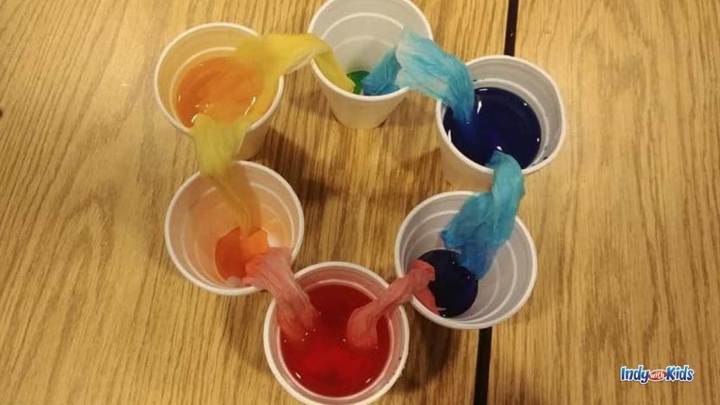 50 Magical St. Patrick's Day Activities & Sham-rockin' Science Projects ...