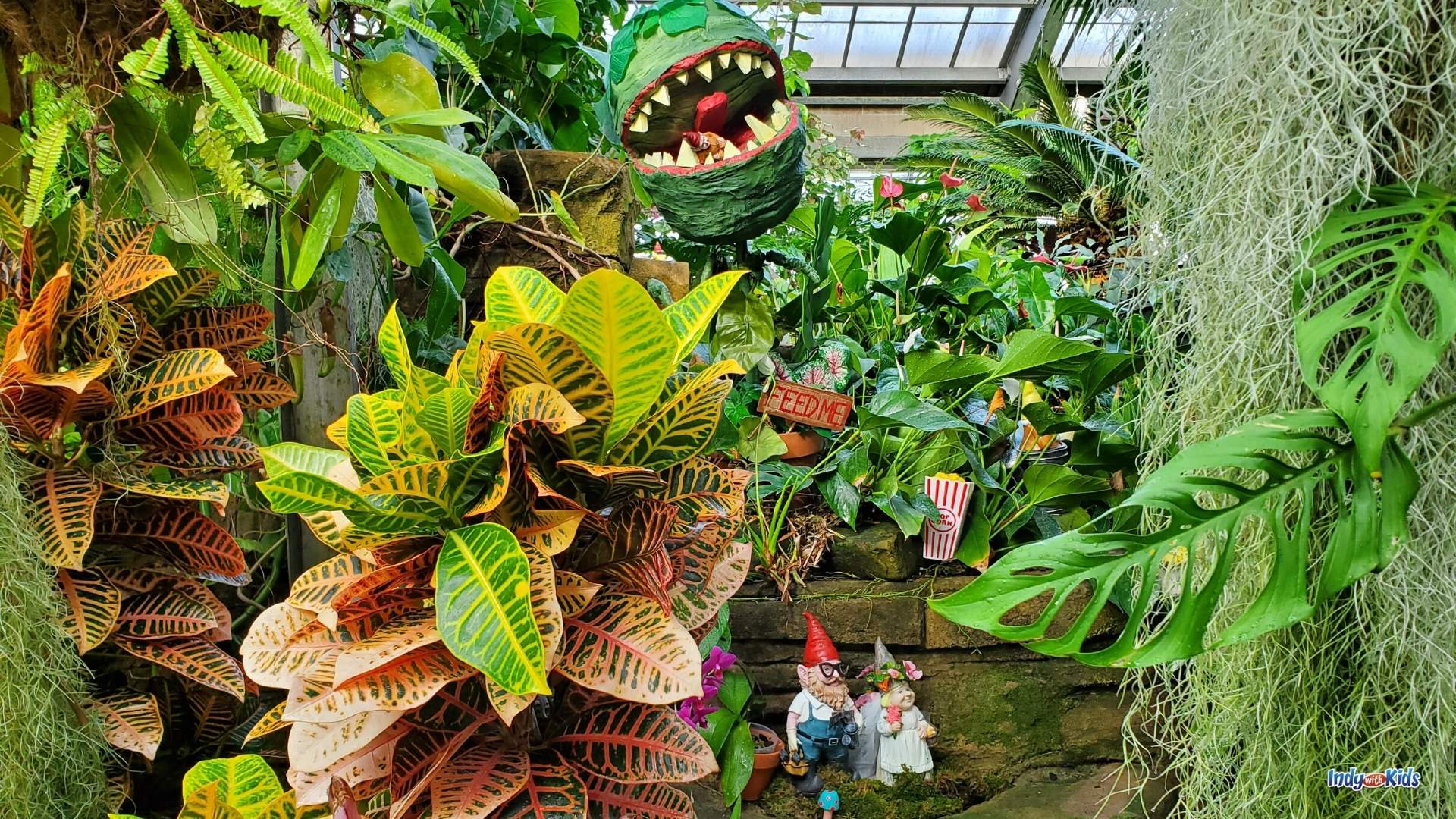 The Garfield Park Gnomes Save the Day this Spring Break | Indianapolis 2026