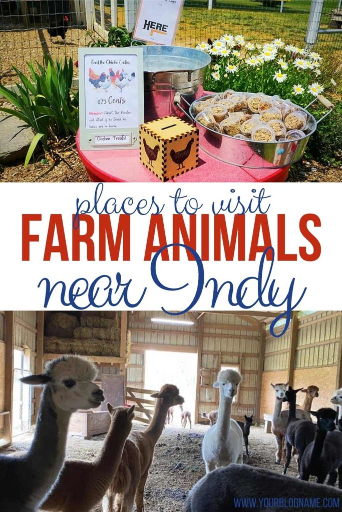 Places to Visit Farm Animals around Central Indiana