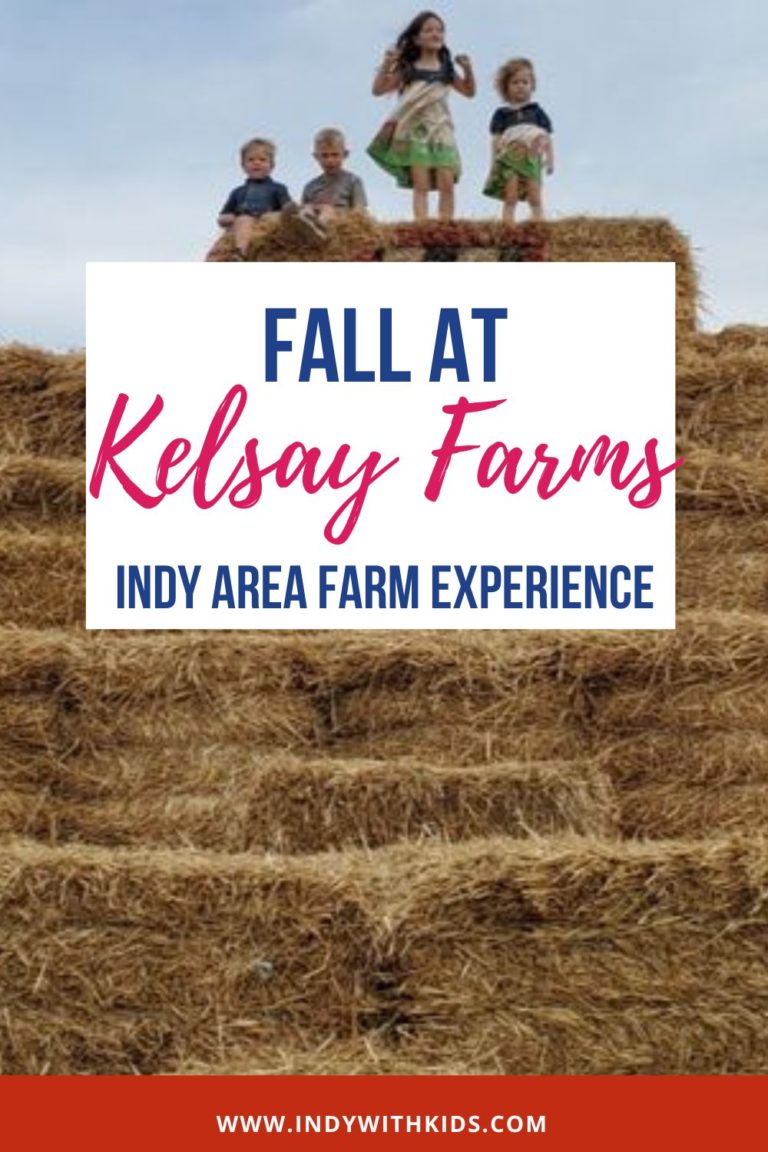 Kelsay Farms Pumpkin Patch & Fall Farm Experience - Indy with Kids