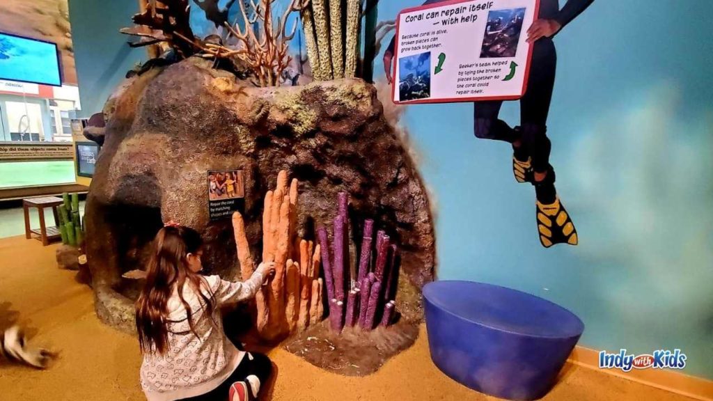 Indianapolis Children's Museum | Everything You Need to Know About This ...
