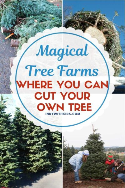 Best Indiana Christmas Tree Farms Near Indianapolis