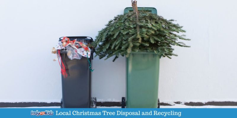 Where Can I Recycle My Christmas Tree in Indianapolis and Other Areas?