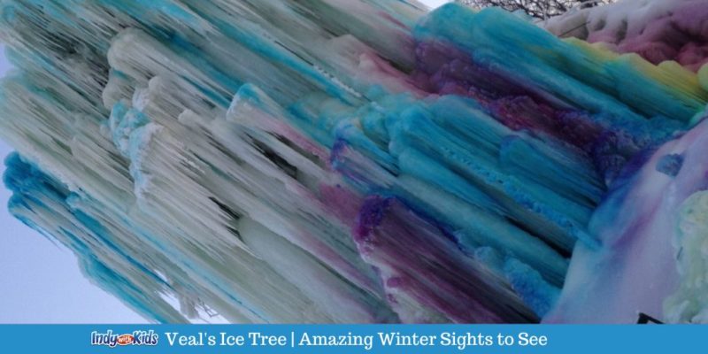 Ice Tree | Veal's Ice Tree In Indianapolis - Indy with Kids