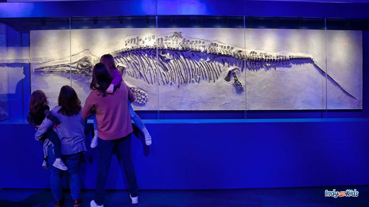 Get Up Close & Personal with Dinosaurs at The Children's Museum