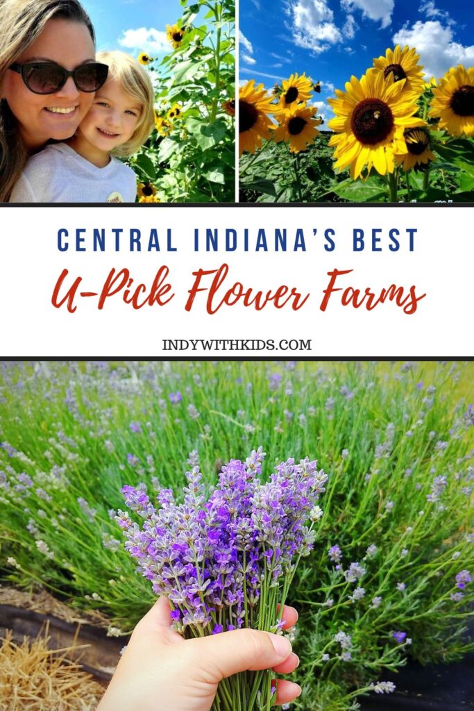 10 Simply Stunning U-Pick Flower Farms Near Me | Central Indiana