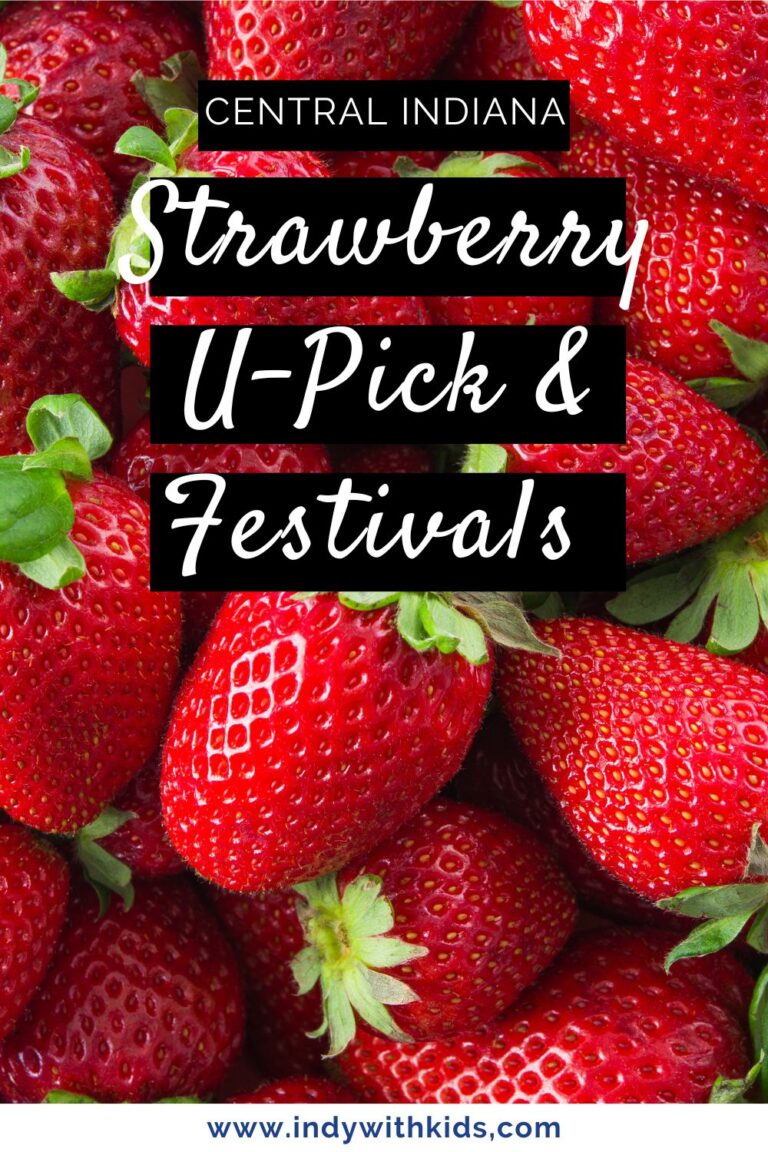 6 Sweet Farms for Strawberry Picking Near Me | Indianapolis Strawberry ...