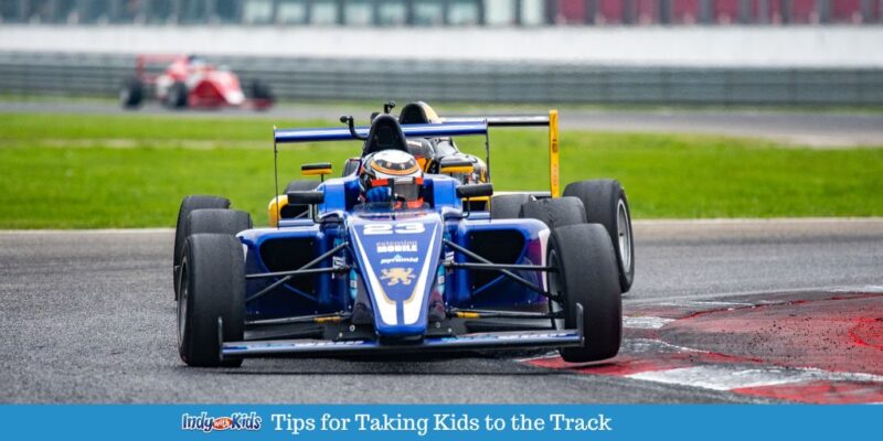 Indianapolis Swan Boats on the Canal