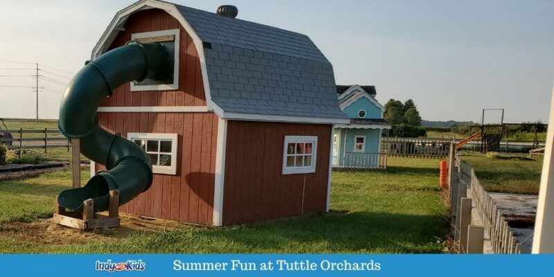 Summer Fun for Kids and Families at Tuttle Orchards | Things to do