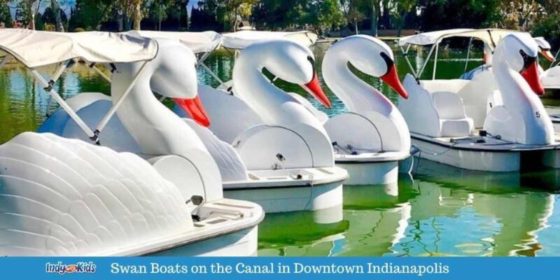 Indianapolis Swan Boats on the Canal