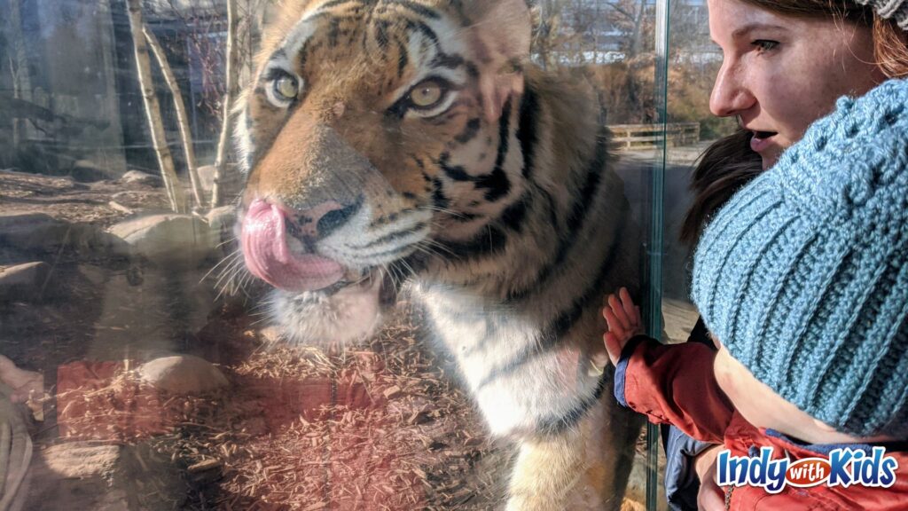 50 Things to Do with Infants in Baby's First Year in Indy