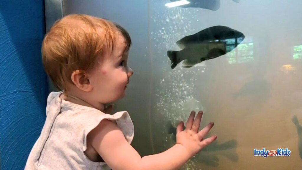 State Fair Kids Activities | Taking Toddlers and Babies to the 2024 ...